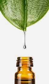 ABC's of Essential Oils in School - ESGI